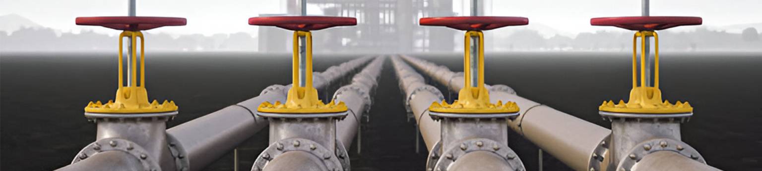 Oil and Gas Services - Gulf Investment Corporation